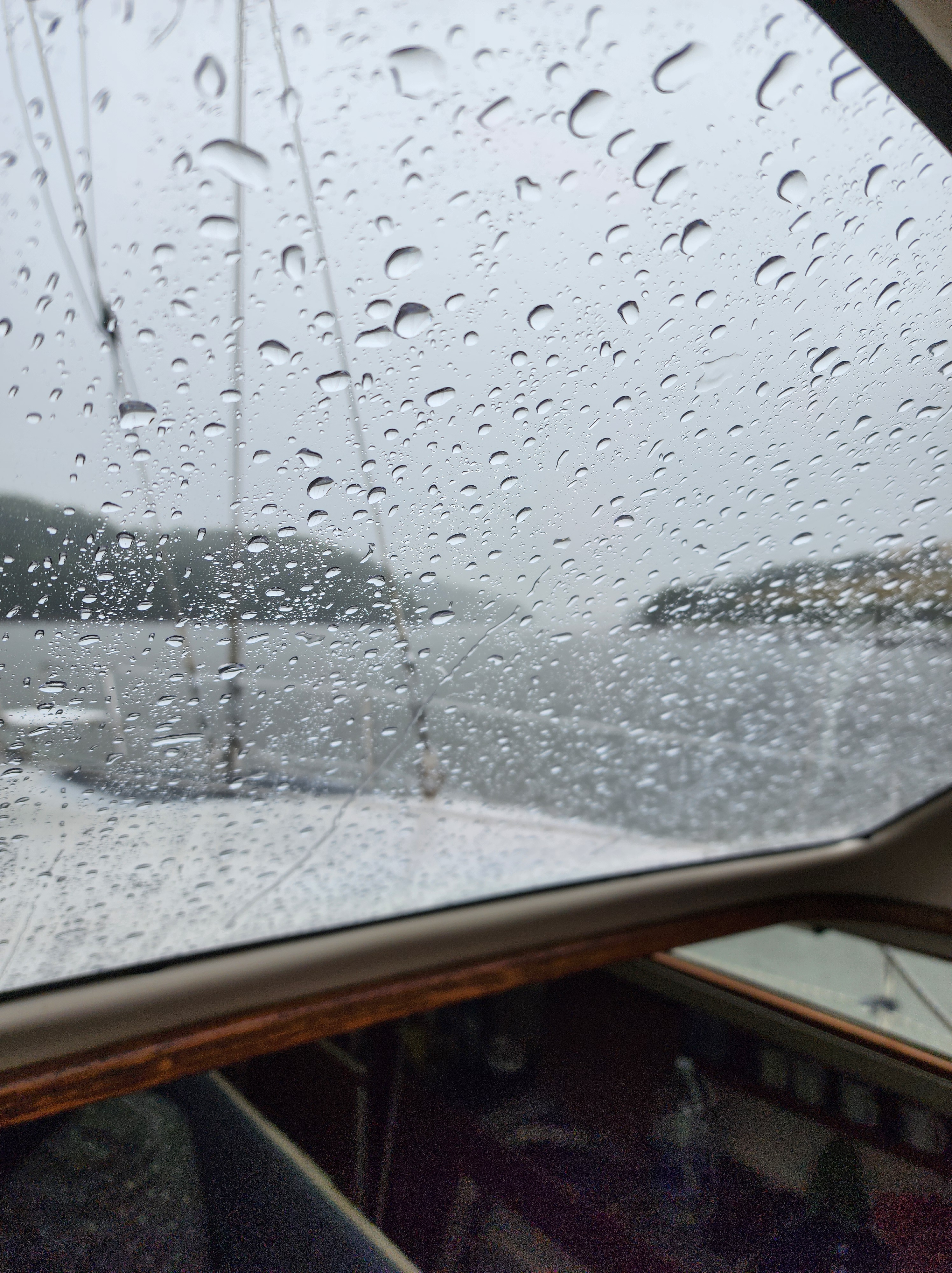 River Yealm to the Dandy Hole. – 4 Kidneys and a Wonky Leg